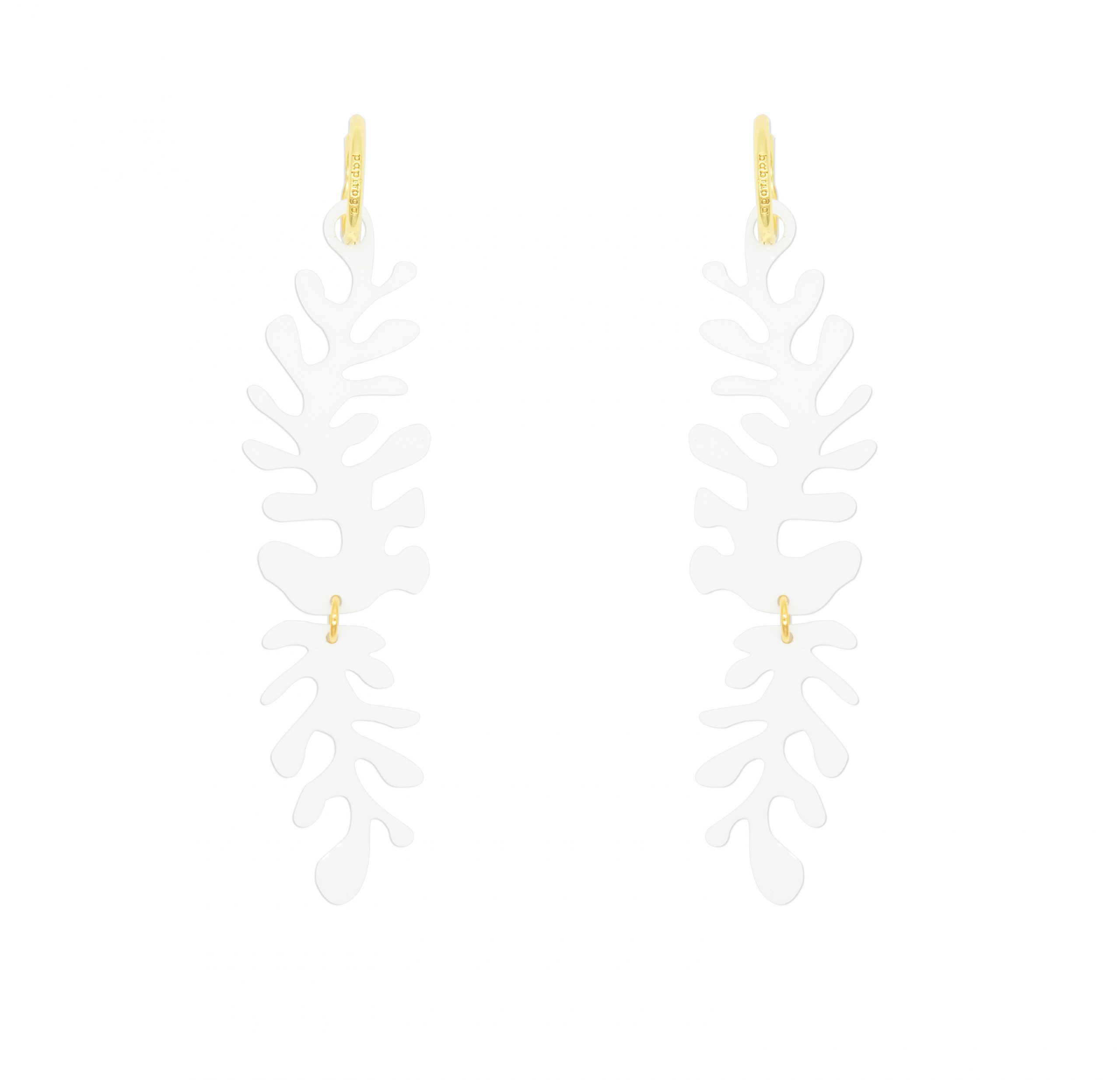 SQUARROSA - papiroga