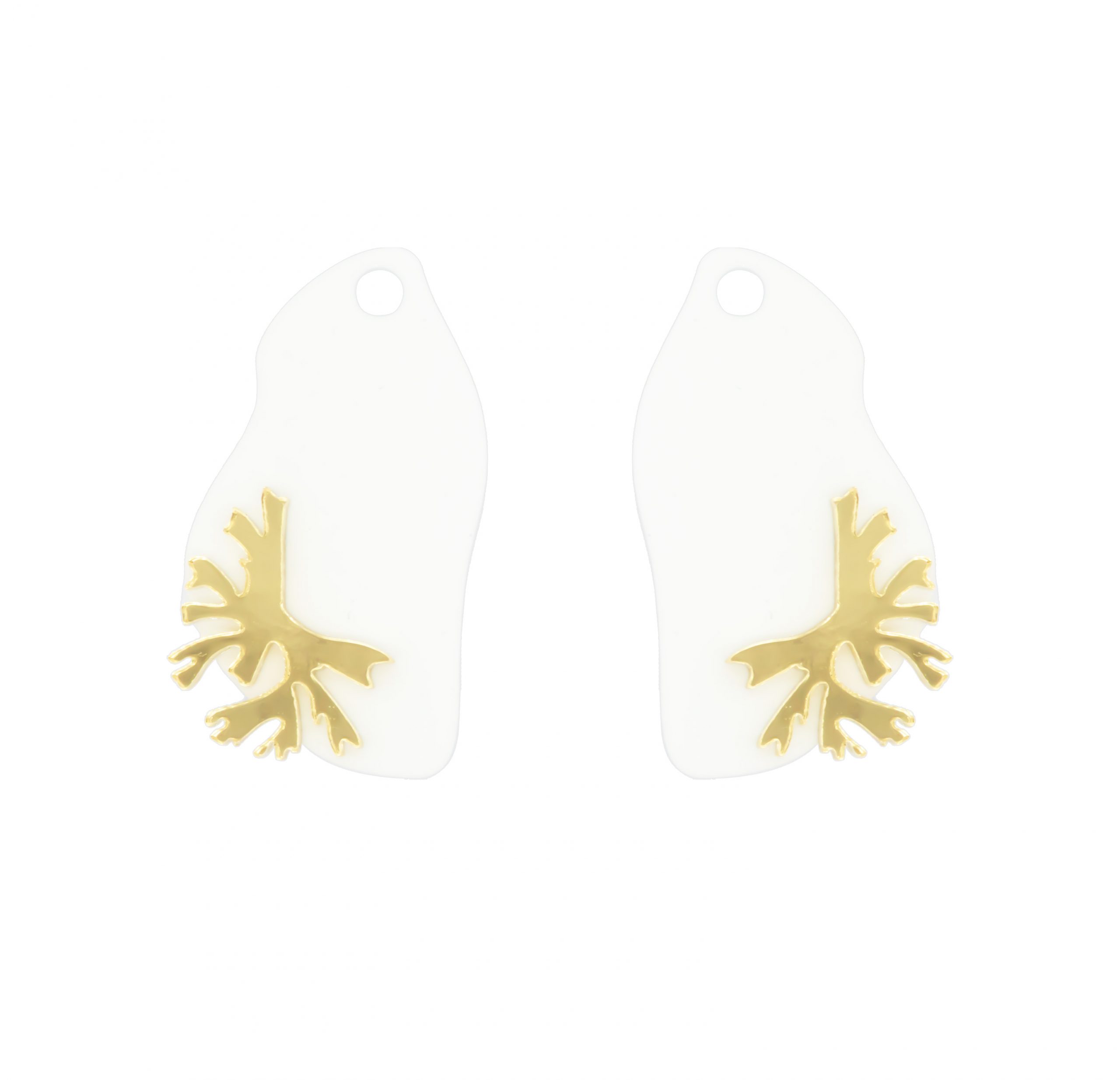 LARGE ROCK CORAL - papiroga